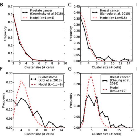 The Single Cell Cluster Migration Transition Recapitulates Cluster Size
