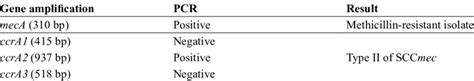 Pcr Amplification Of The Meca And Ccr Genes For Sccmec Type Using The