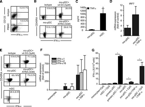 Ifn Production By Mo Pdc A Pbmc Were Isolated From Human Peripheral