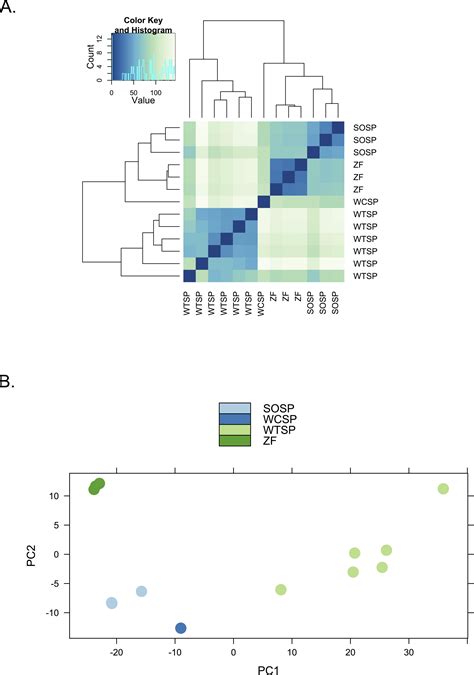 brain transcriptome sequencing and assembly of three songbird model