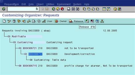 se10 view and release sap transport requests in sap abap