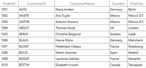 autosize columns in wpf datagrid control syncfusion