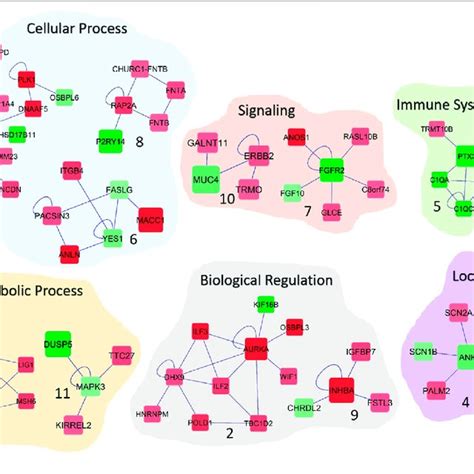 Significant Subnetworks Associated With Colorectal Cancer The Color