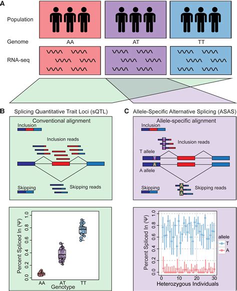 The Expanding Landscape Of Alternative Splicing Variation In Human