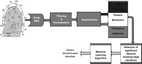 Steps In Eeg Data Collection And Processing For The Automated Seizure