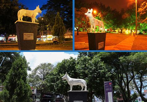 Parque Del Perro Orgullo De Cali