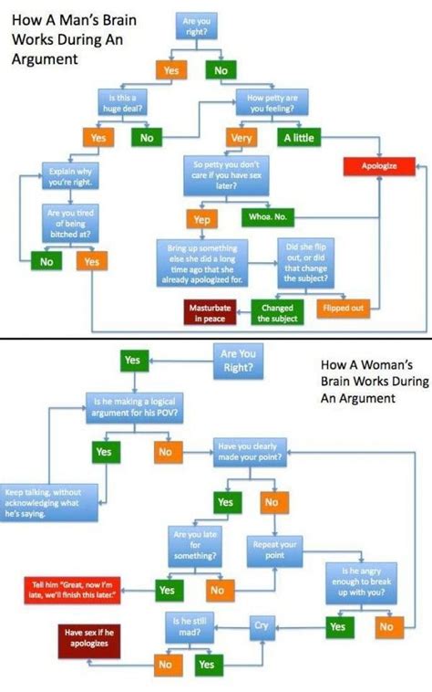 man vs woman argument points of view males females pinterest