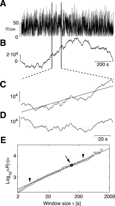 Long Range Temporal Correlations And Scaling Behavior In Human Brain