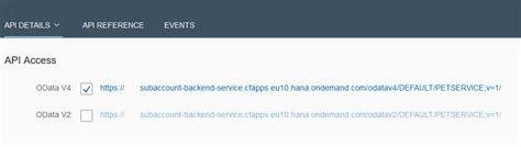 sap cloud platform backend service tutorial [11] cds magic key