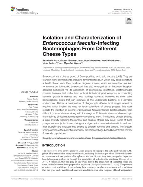 Pdf Isolation And Characterization Of Enterococcus Faecalis Infecting