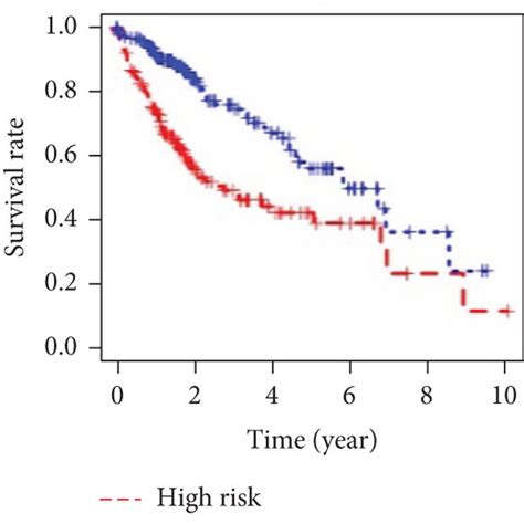 Constructing And Verification The Prognostic Model A Forest Map Of