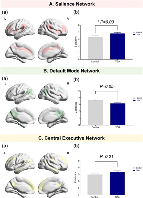 Group Differences In The Functional Intrinsic Brain Network During The