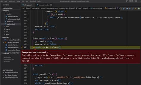 mongodb in my flutter app when i turn off my internet it crashes with
