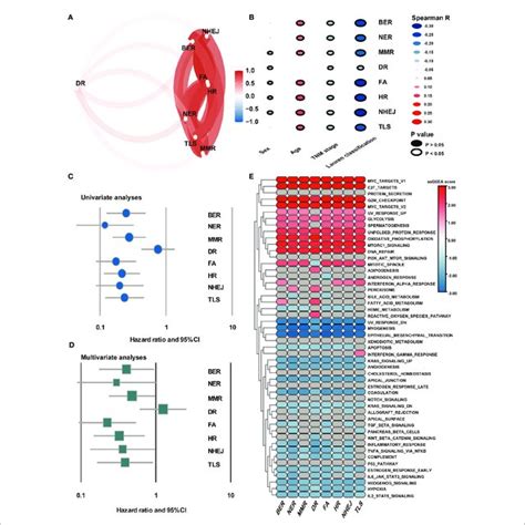 Subgroup Analysis For The Ddr Pathway Signature Among Different