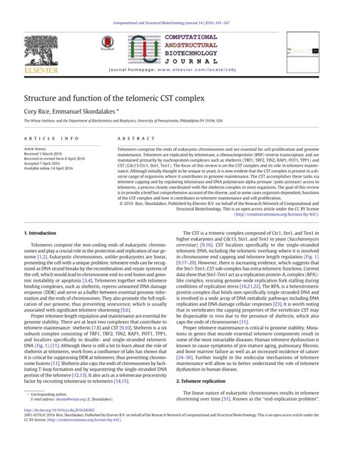 Pdf Structure And Function Of The Telomeric Cst Complex
