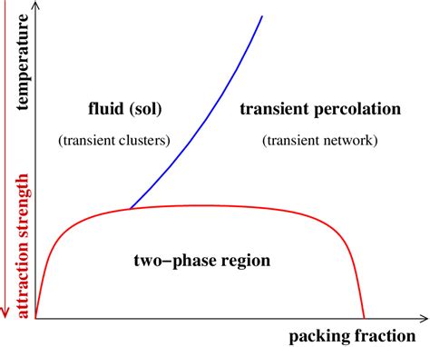 Schematic Picture Of The Percolation Transition In Physical Gels Where