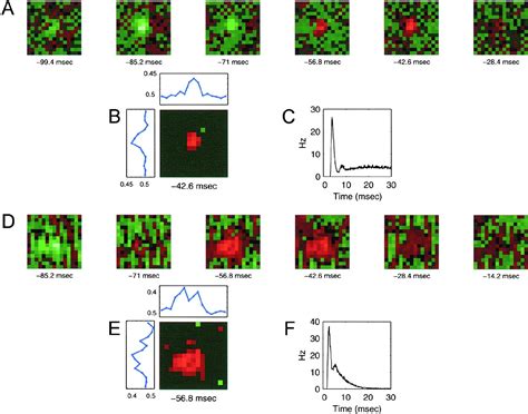 Receptive Field Microstructure And Dendritic Geometry Of Retinal