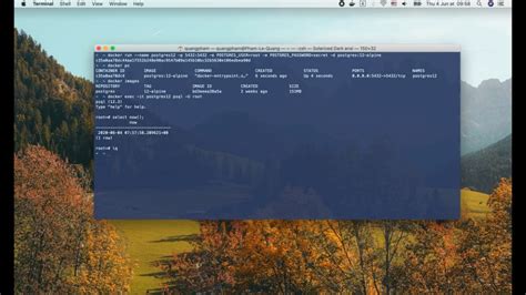 install and use docker postgres tableplus to create db schema dev