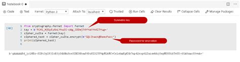 encrypting passwords with python scripts in sql notebooks of azure data