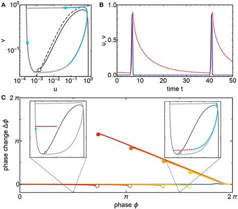 Linear Chain Of Coupled Oscillators