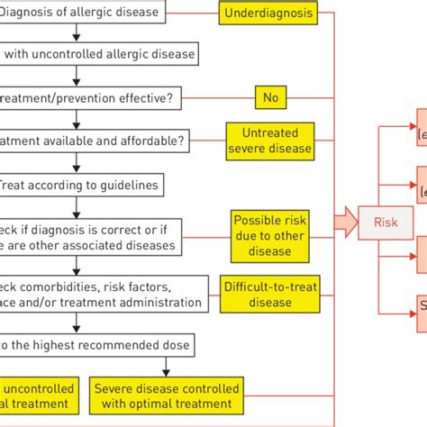 Decision Making Steps For The Stratification Of Severe Asthma With