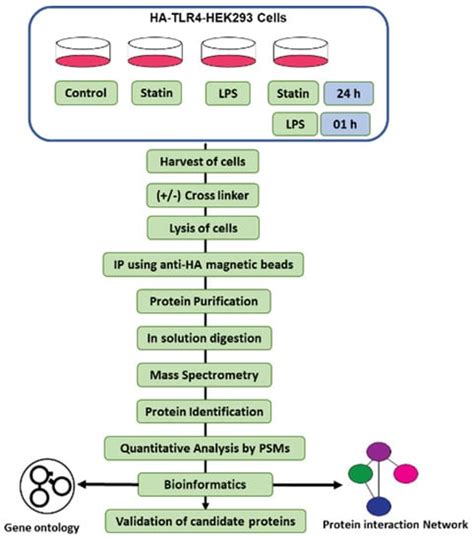 Proteomes Free Full Text Identification Of Inflammatory Proteomics