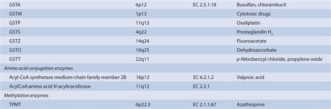 Phase Ii Drug Metabolizing Enzymes Basicmedical Key