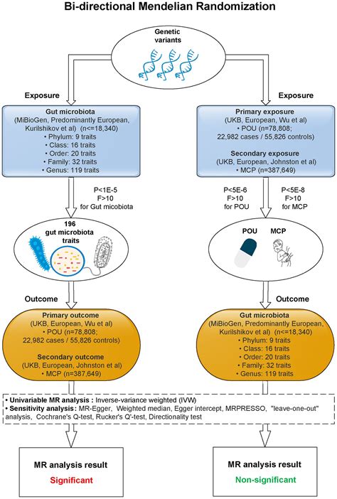 Frontiers Gut Microbiota Alterations May Increase The Risk Of
