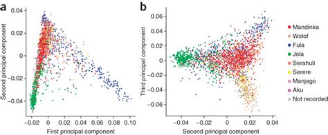 Principal Components Analysis Of Population Structure Within The