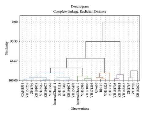 Dendrogram Showing Cluster Analysis Of 26 Genotypes Of Maize