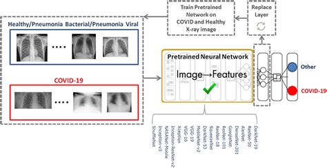 frontiers the performance of deep neural networks in differentiating