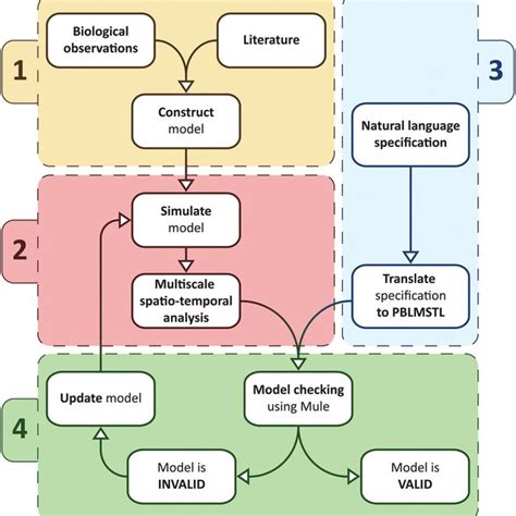 Multiscale Spatio Temporal Model Checking Workflow The First Step 1