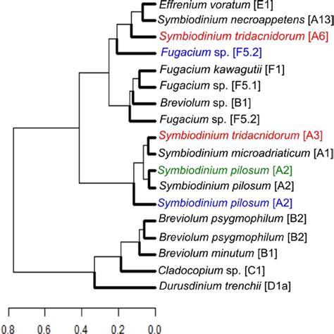 Cluster Analysis Dendrogram Based On Fatty Acid Fa Profiles Using The