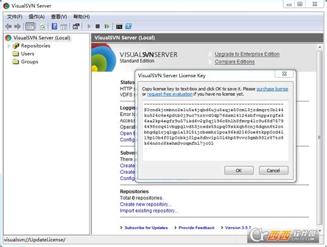 visualsvn server 企业版破解注册机 visualsvn注册码 程序员宅基地 程序员宅基地