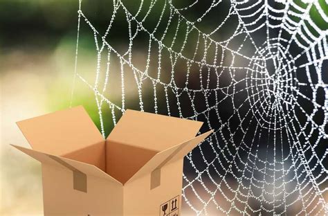 getting started with react and parcel rwieruch
