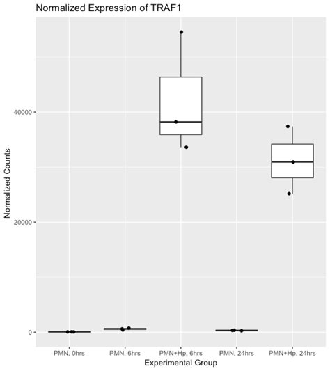 gene expression boxplots with ggplot2 michael s bioinformatics blog