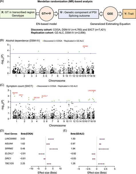 Mendelian Randomization Mr Based Analysis Of Coga A Overview Of The