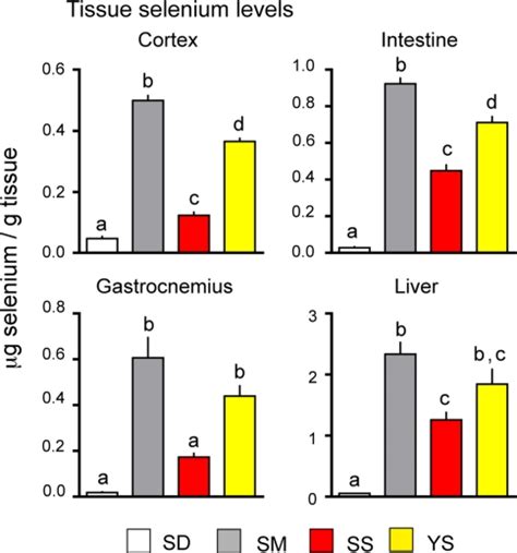 Tissue Levels Of Selenium Mean Sem In Four Tissues From Mice Fed A