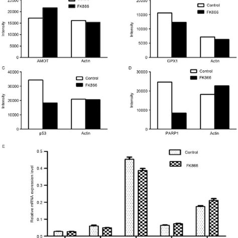 Functional Classification Of Differentially Expressed Proteins Between