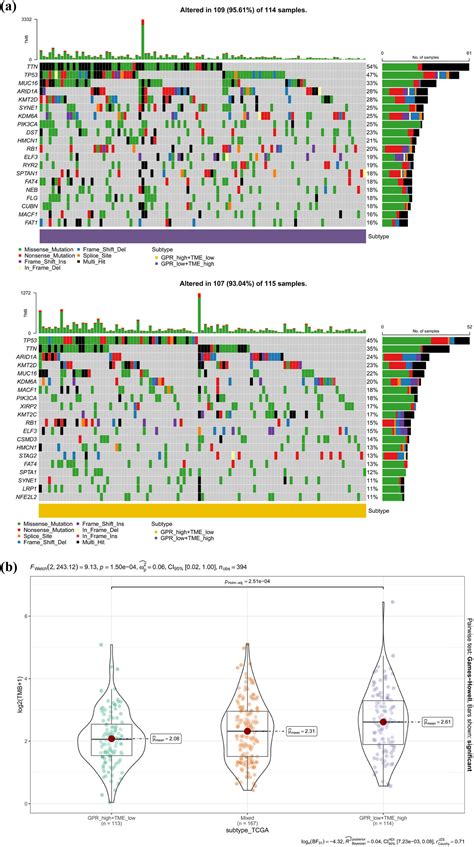 The G Protein Coupled Receptor Related Gene Signatures For Predicting