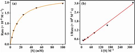 A The Plot Of The Rate Vs Substrate Concentration Michaelis–menten