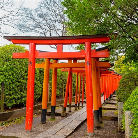 【東京絶景スポット】新緑に映える真っ赤なトンネル⛩根津神社の千本鳥居 Fun Tokyo ：jr東日本