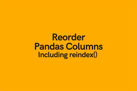 reorder pandas columns pandas reindex and pandas insert datagy