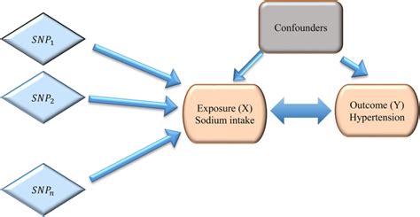 Schematic Diagram Of A Mendelian Randomization Analysis Mr Can Be Used