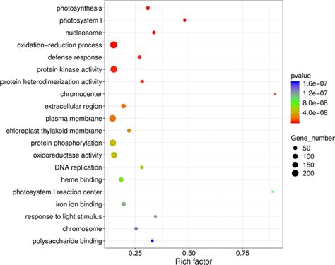 Go Enrichment Analysis Of Differentially Expressed Genes Download