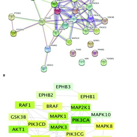 Protein Protein Interaction Ppi Networks Constructed In String A