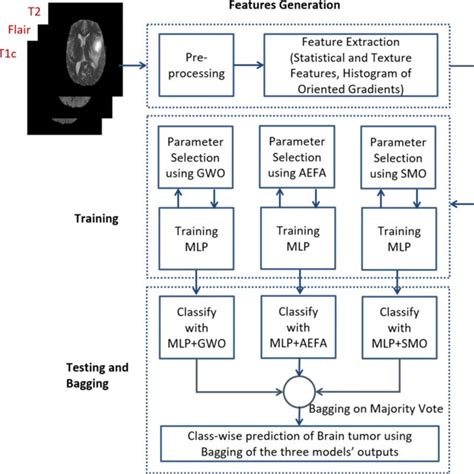 Flowchart Of The Proposed Method For Brain Tumor Segmentation