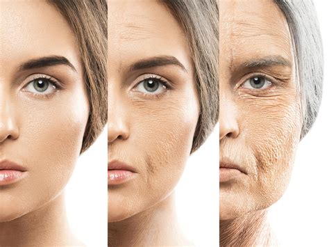 Indias 10 Best Anti Aging Creams For Dry Skin