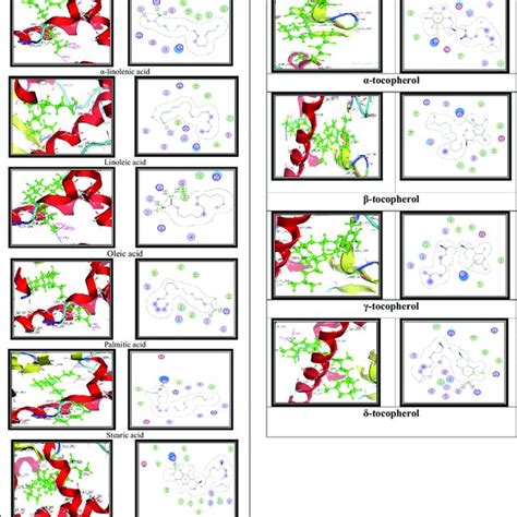 The Putative Binding Mode Analysis Of All Identified Compounds In The