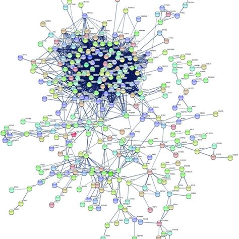 Kegg Pathway And Reactome Pathway Analysis Of The 544 Common Degs